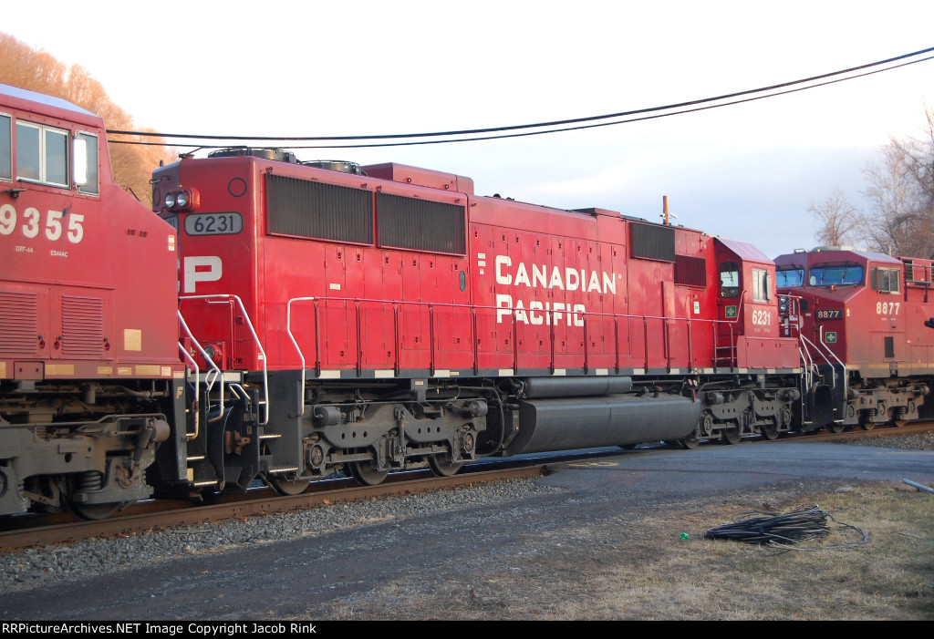 CP SD60 6231